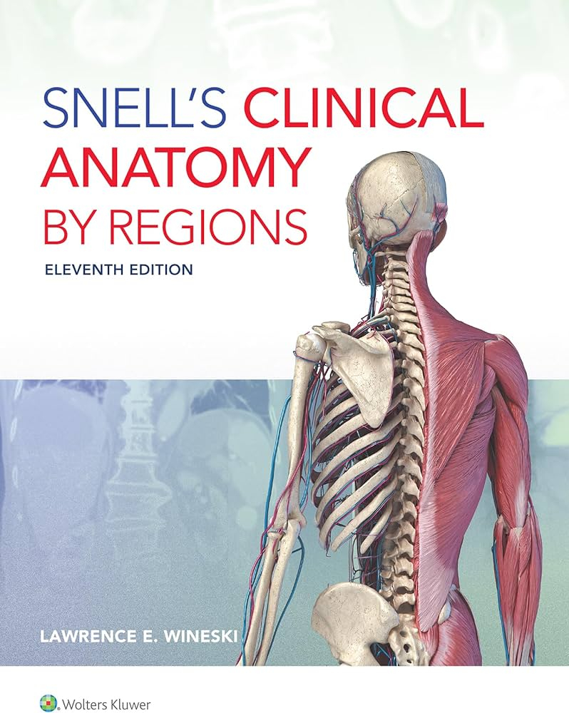 Snell's Clinical Anatomy by Regions 11th edition | Libreria Medica Studium Snell's Clinical Anatomy by Regions 11th edition | Libreria Medica Studium